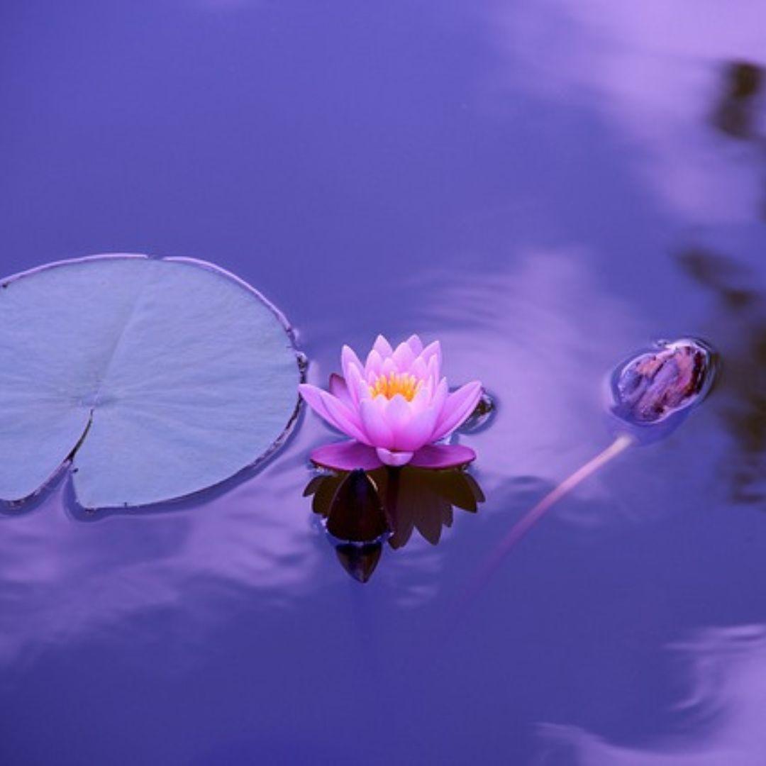 Comment Se Calmer Facilement Bien Vivre Avec Sa Maladie Comment Se Calmer Facilement Bien Vivre Avec Sa Maladie